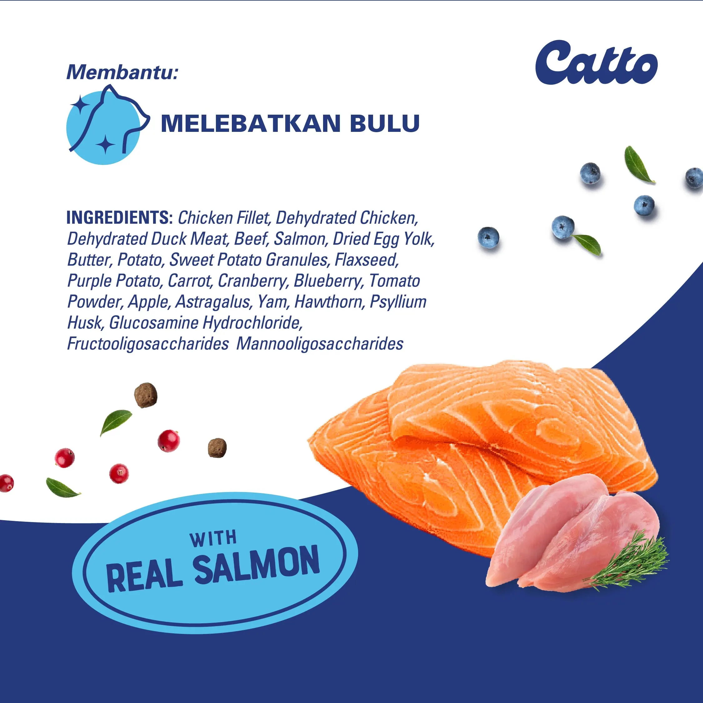 Catto Bawa Berkat