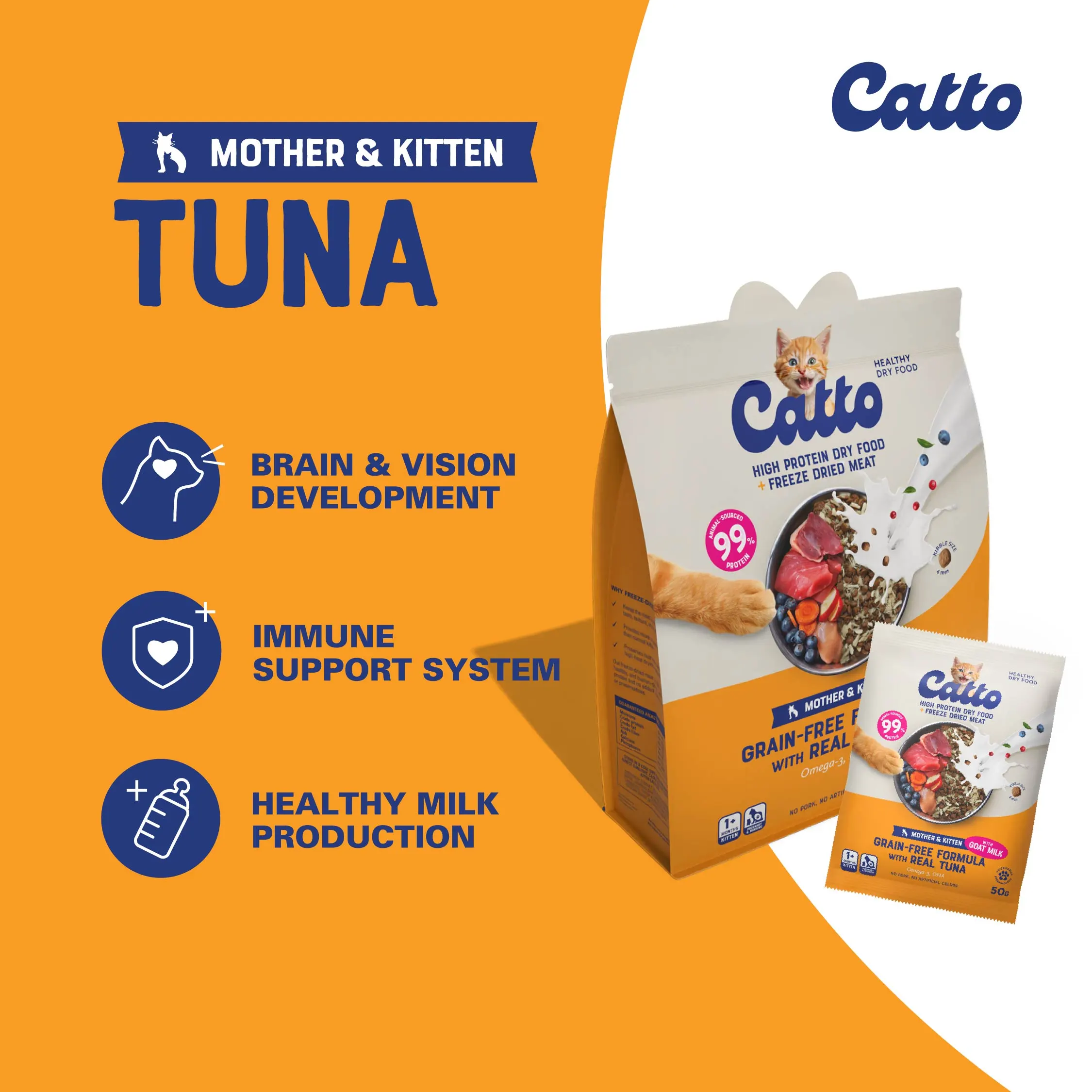 Catto Bawa Berkat