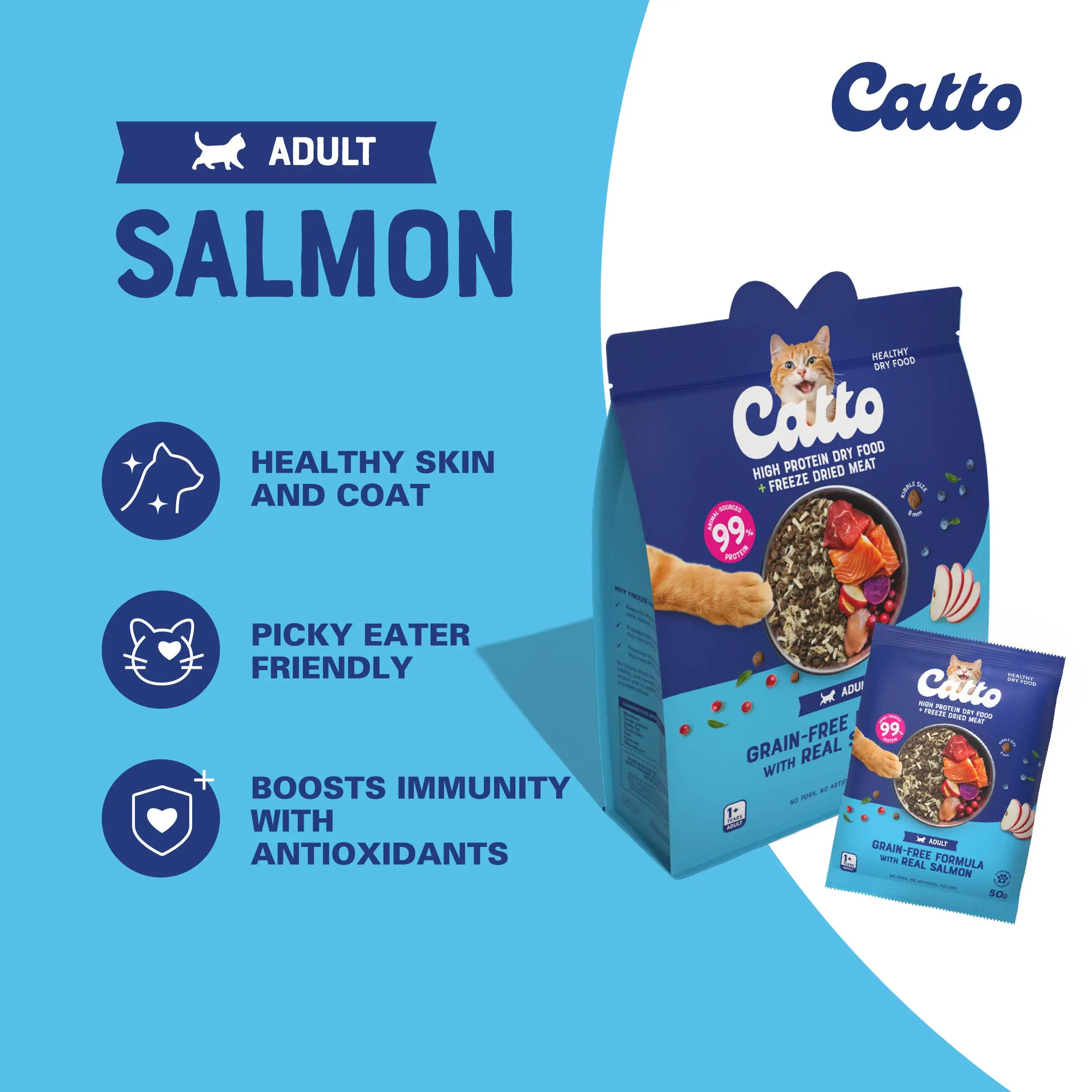 Catto Bawa Berkat