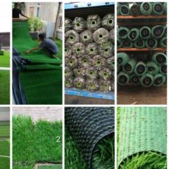 Windgrass