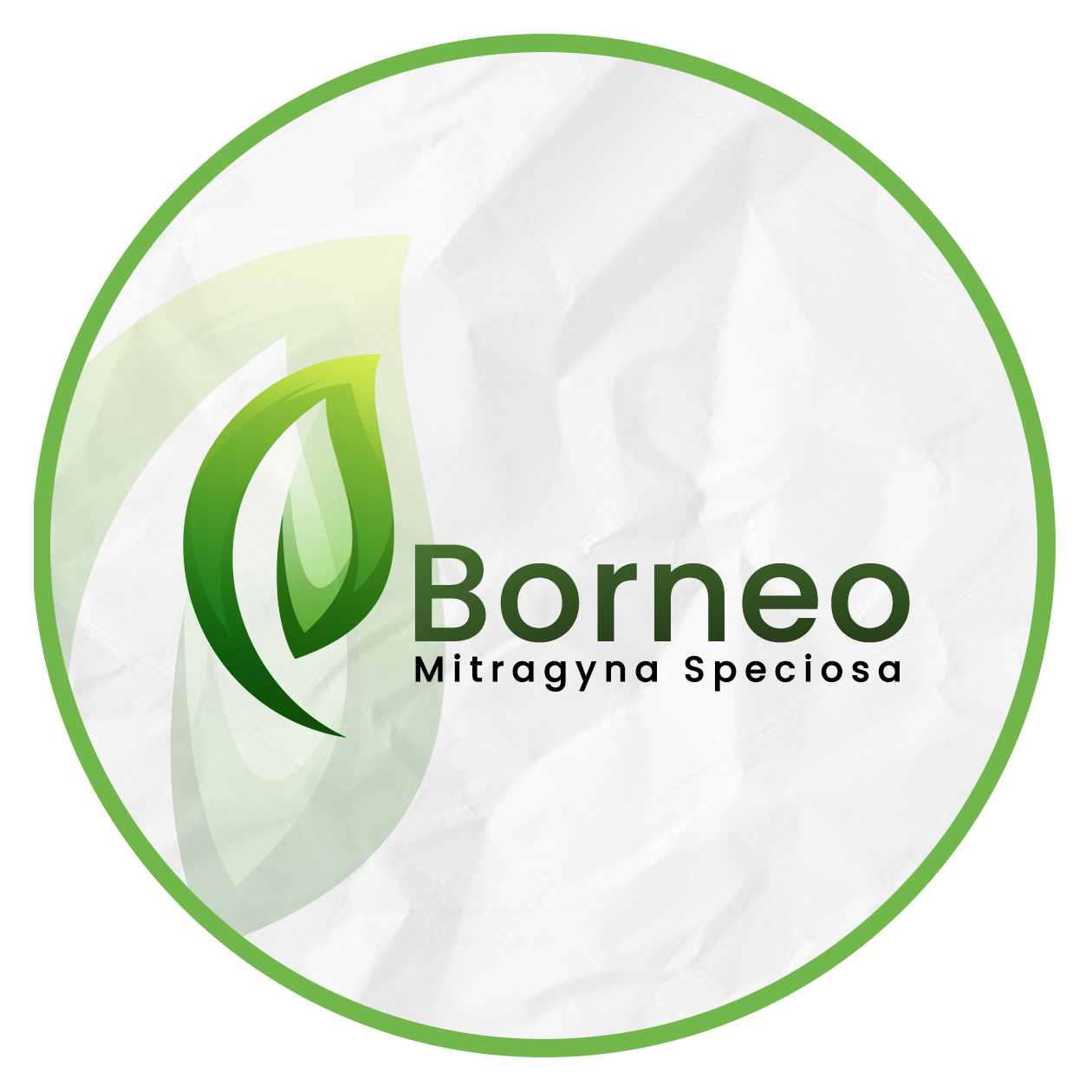 Borneo Mitragyna Speciosa
