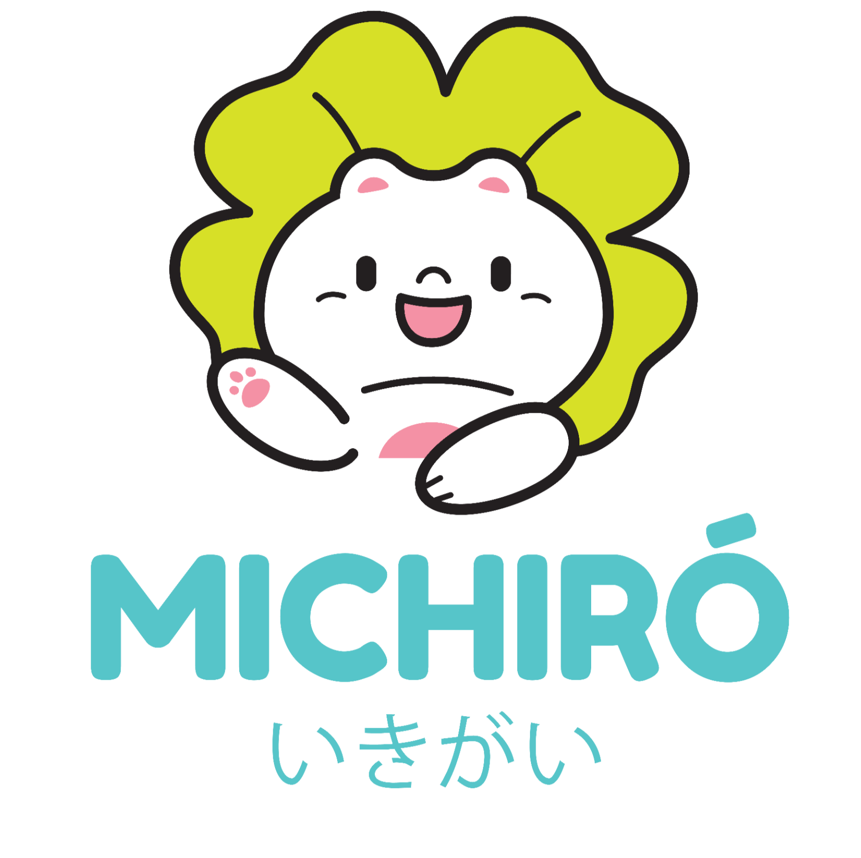 Michiro Store Indonesia
