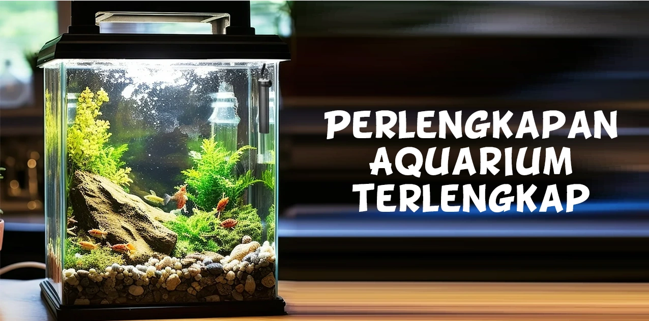 Nautic Tgr - Toko Perlengkapan Aquarium Terlengkap Harga Termurah