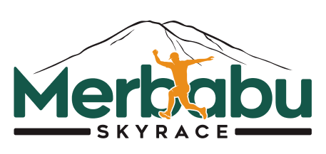 ONPOINT | Open Ear Muscle Gun