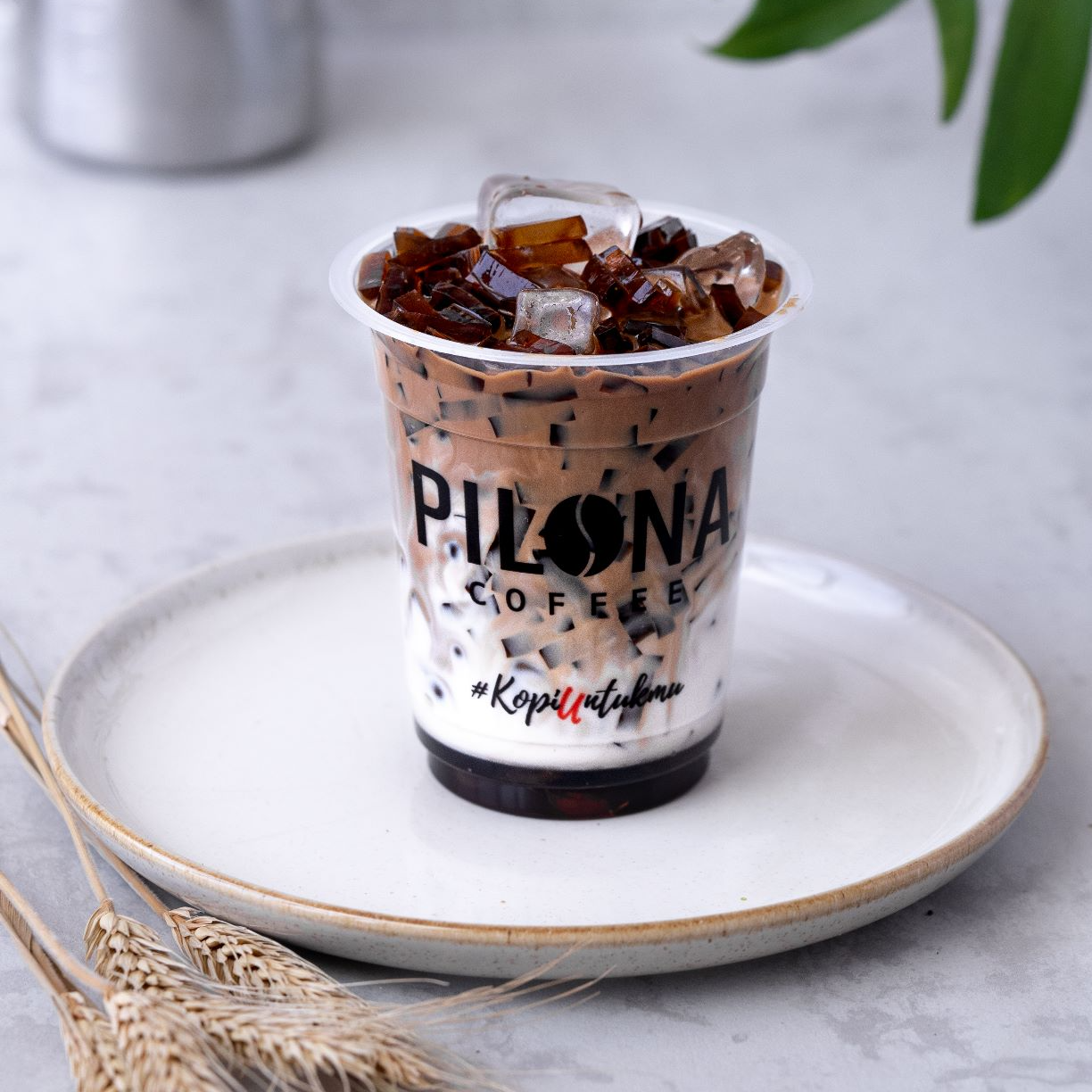 Iced Coffee Jelly-Pilona Coffee